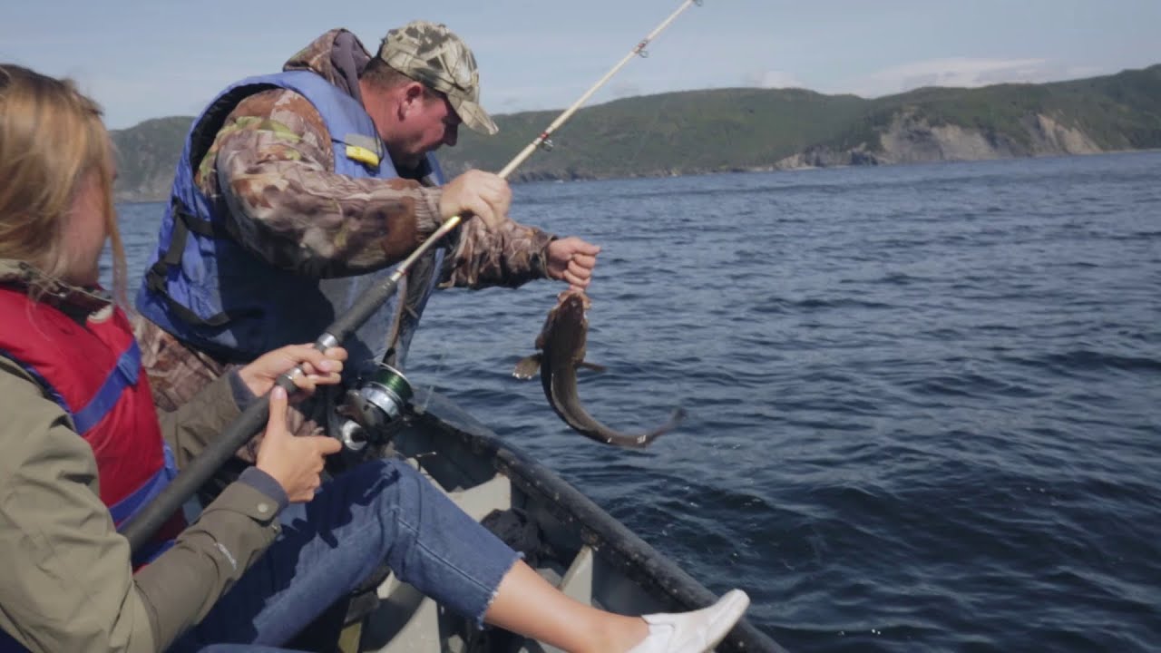 How To Catch The Most Fish Of Your Life In Cox Cove, Newfoundland - YouTube
