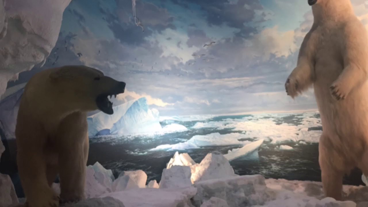 Wonders of Wildlife National Museum and Aquarium in Springfield, Mo ...