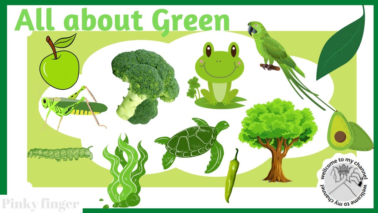 green colour activity for nursery | Green Color Activities | Kids world ...