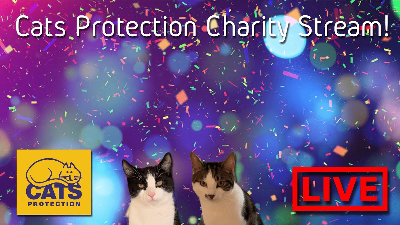 Cats Protection Charity Stream - YouTube