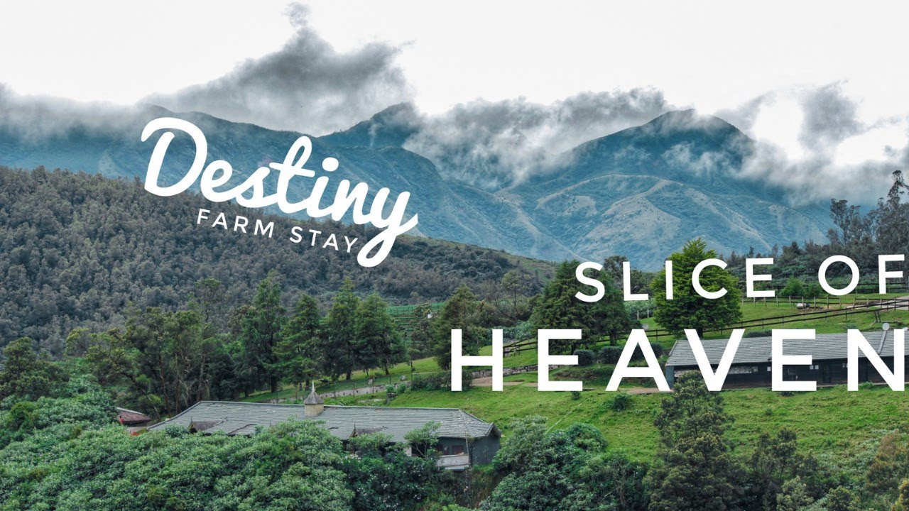 Ooty or Europe? Destiny Farm Stay | Avalanche Ooty Best Resort. - YouTube