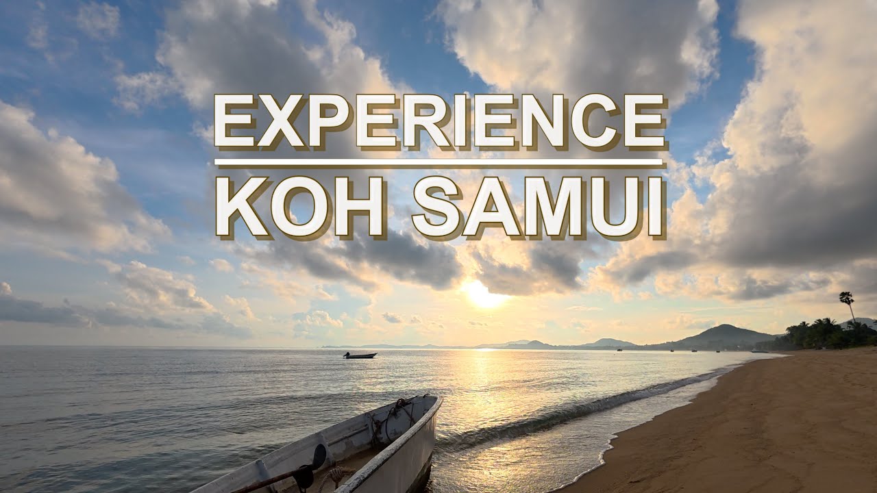 Koh Samui up close: everyday life, animals and moments you'll never ...