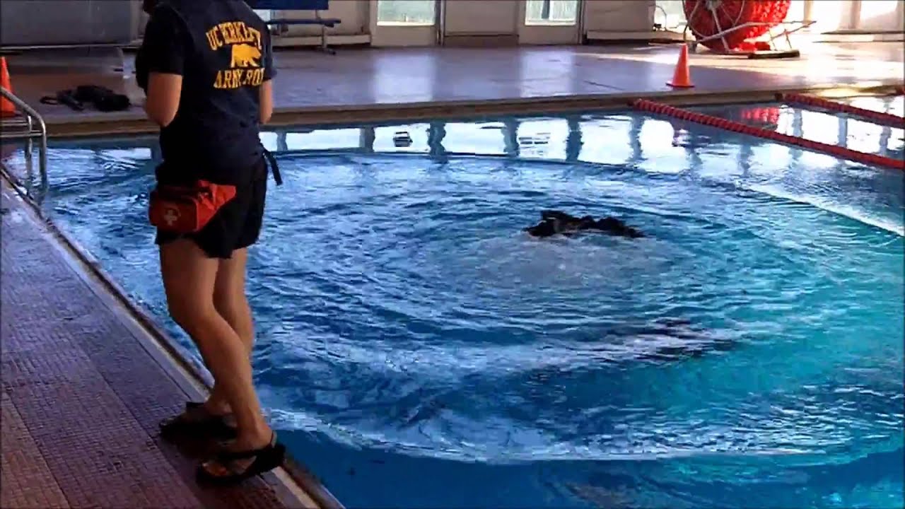 Combat Water Survival Training - Cal Army ROTC - YouTube