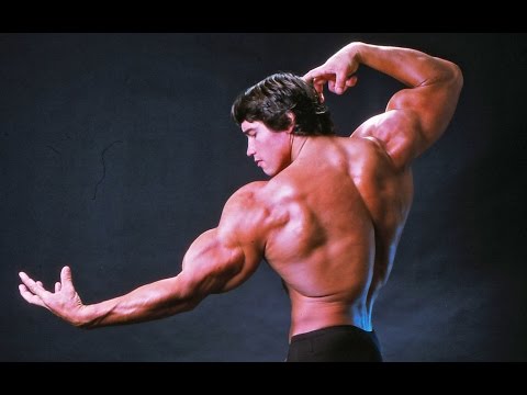 ARNOLD SCHWARZENEGGER 1980 COMEBACK TRAINING Bodybuilding Muscle Fitness