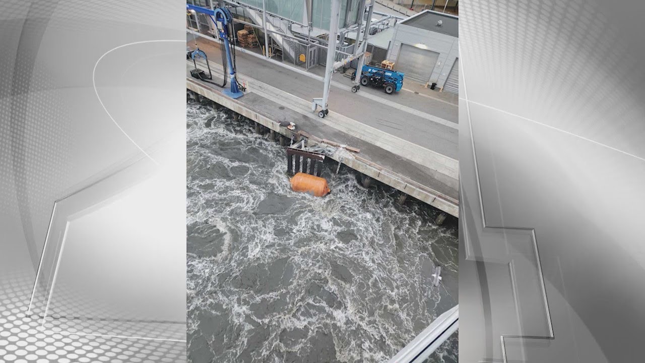 Latest on 'Ruby Princess' cruise ship crashing into Pier 27 - YouTube