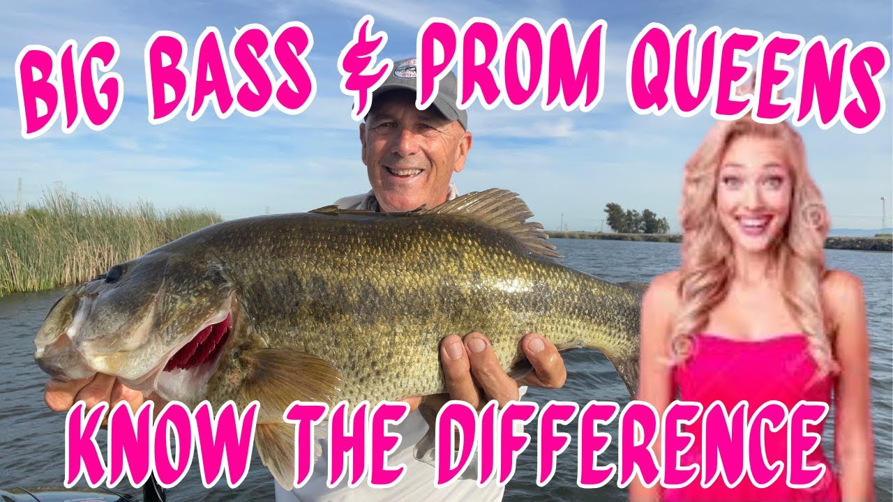 Big Bass & Prom Queens - Konw The Difference. - YouTube