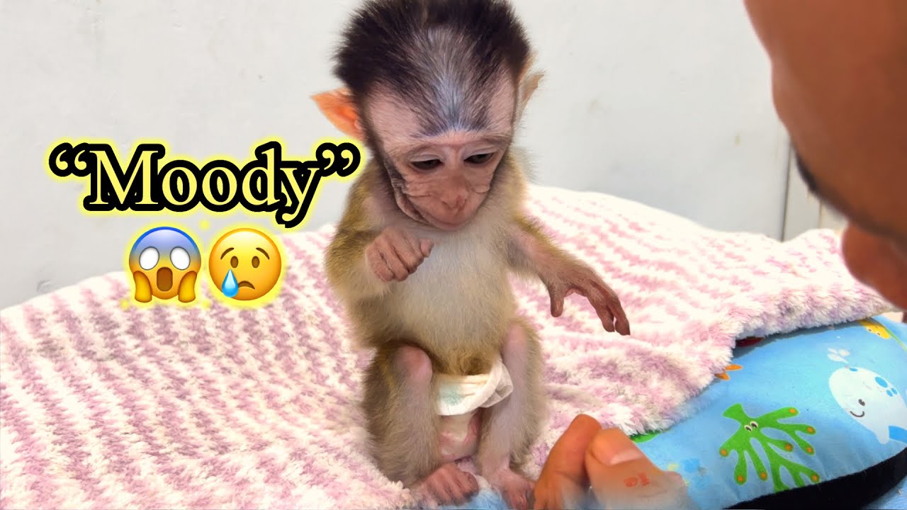 Cutest Morning Drama Ever! Baby Cici Gets Grumpy When I Let Go of Her ...