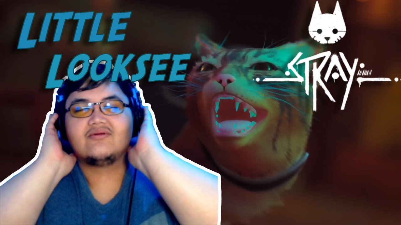 Little Looksee | Stray Gameplay Trailer - YouTube