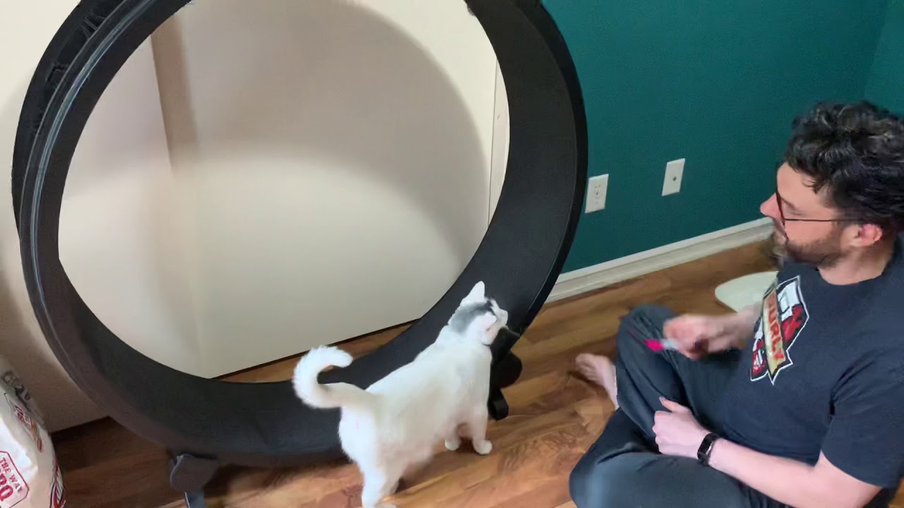 The Running of the (kinda klutzy) Chonk 05/28/20 - YouTube