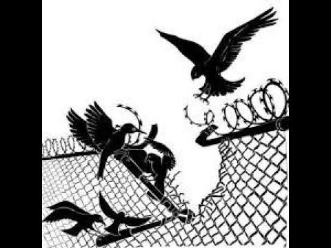 What Happened to Prisoners Justice Day part 4 of 5 - YouTube