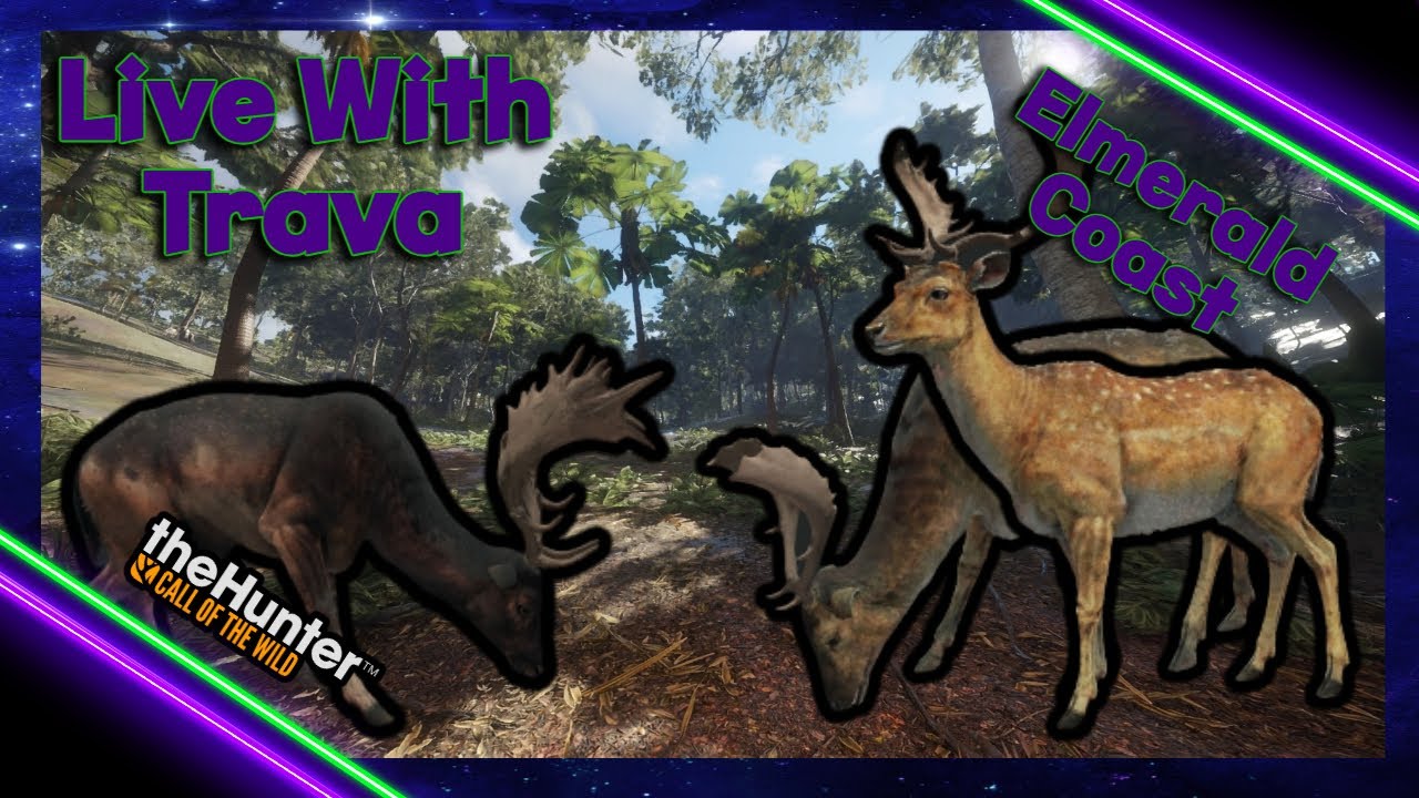 Going After Fallow Deer On Emerald Coast- The Hunter Call Of The Wild ...