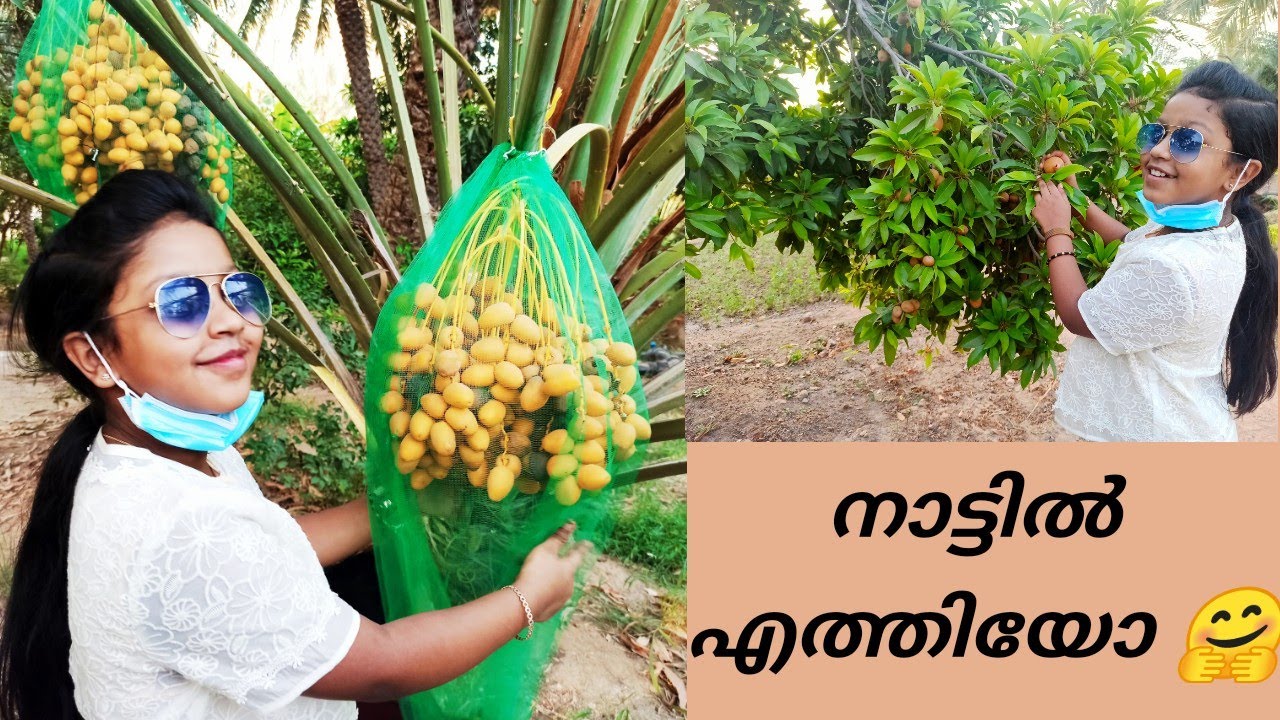 Hatta trip/hatta farm/hatta dubai - YouTube