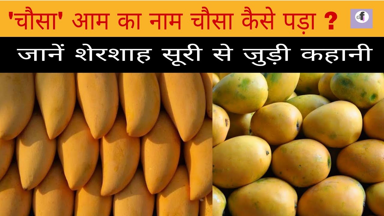 GK for JOB (all exam)|General knowledge most important facts about ...