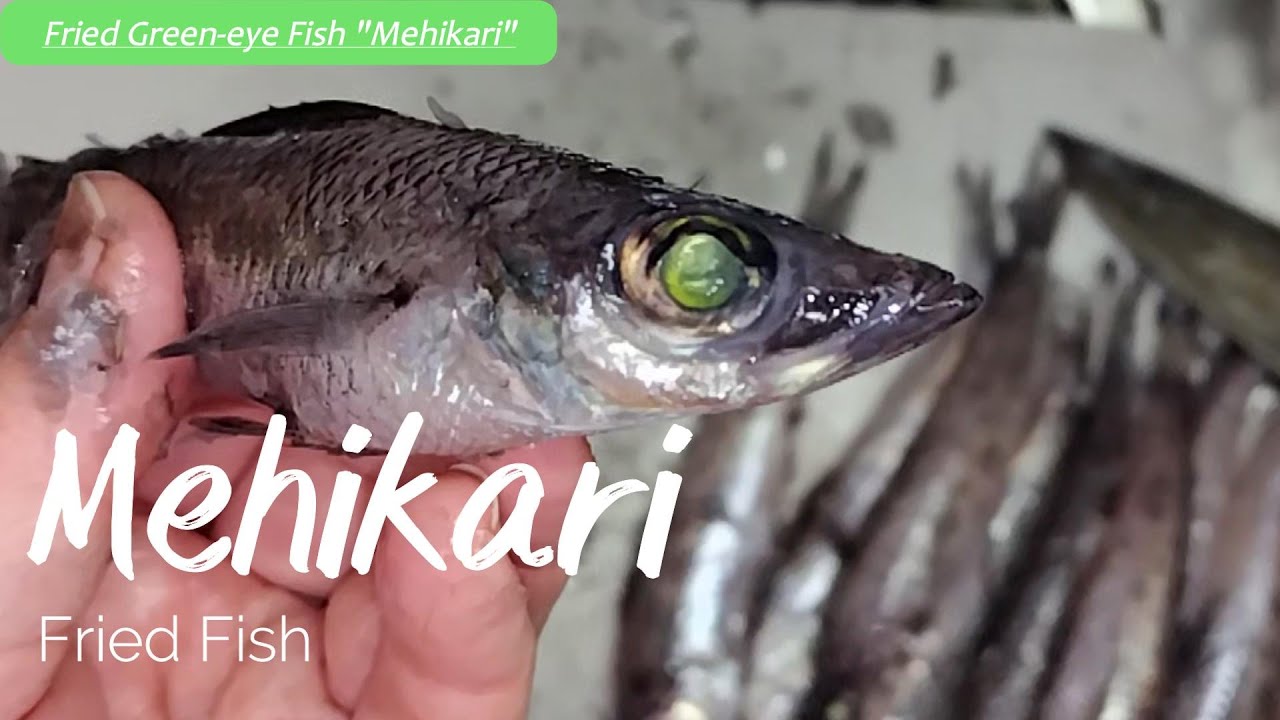 Green-eye Fish from the deep sea to deep fried... Mehikari cooking ...