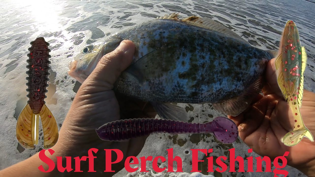 TOP 3 BAITS YOU MUST HAVE Surf Fishing a C-Rig | Got’em Baits | 805 ...