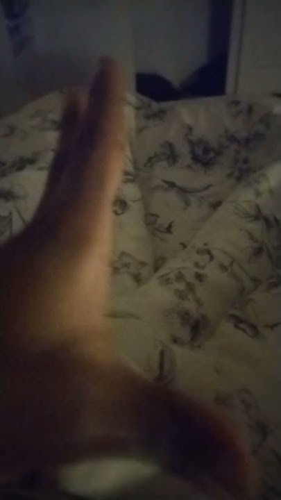 SpongeBob hand addition - YouTube