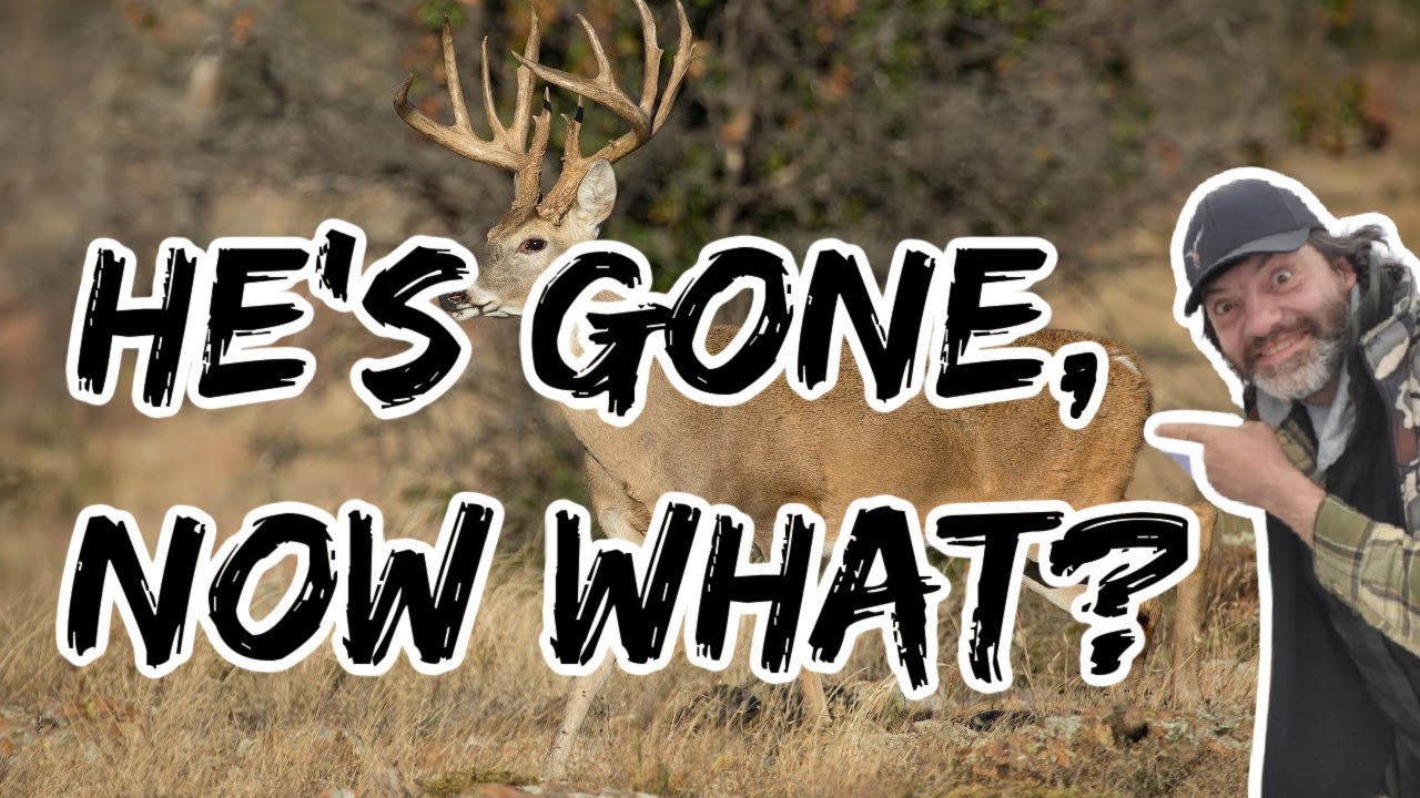 What to do when your target buck moves! - YouTube