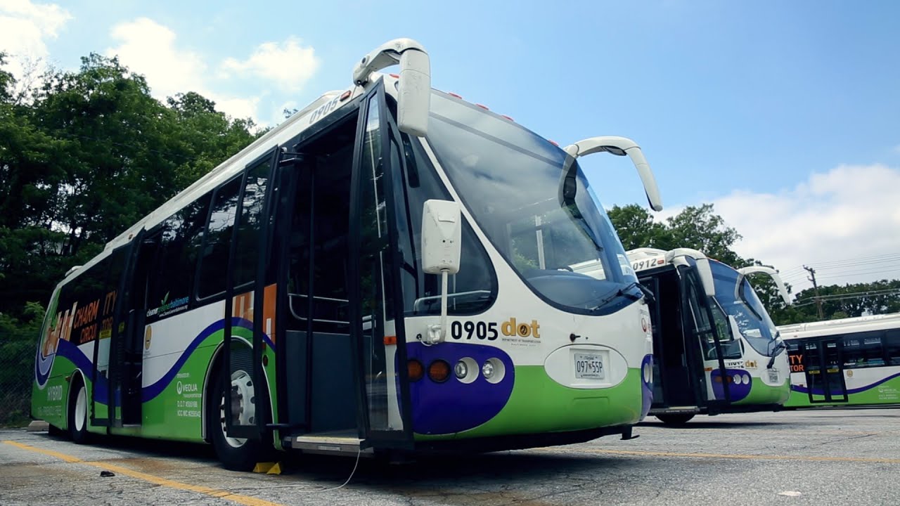 Baltimore's Charm City Circulator Bus Fleet Wraps - YouTube