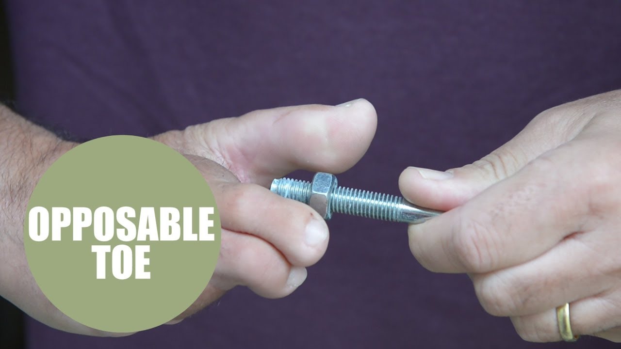 Dad shows how a TOE transplant changed his life - YouTube