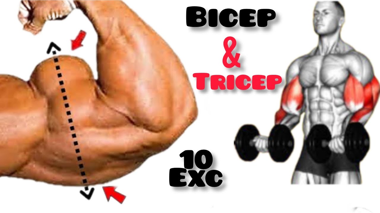 Top 10 Bicep And Tricep Workout At Gym Biceps Triceps Excercises