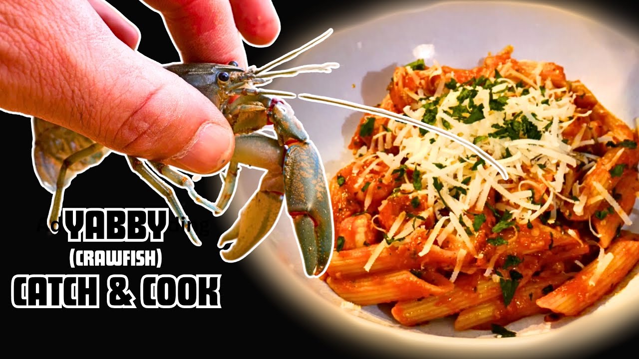 Big Haul of Yabbies (Crawfish) Turned into a Tomato Based Pasta! - YouTube