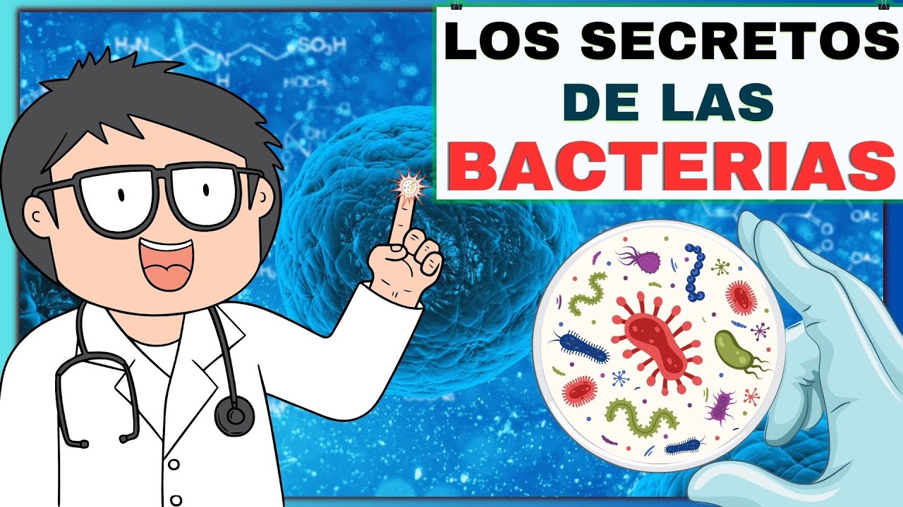 ¿LAS BACTERIAS SON MALAS? ¡Sin bacterias no existirías! - YouTube