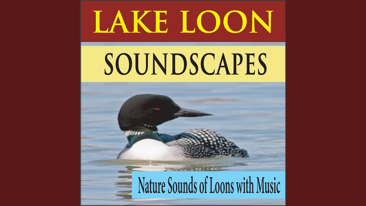 Ambient Tones with Sounds of Loons - YouTube