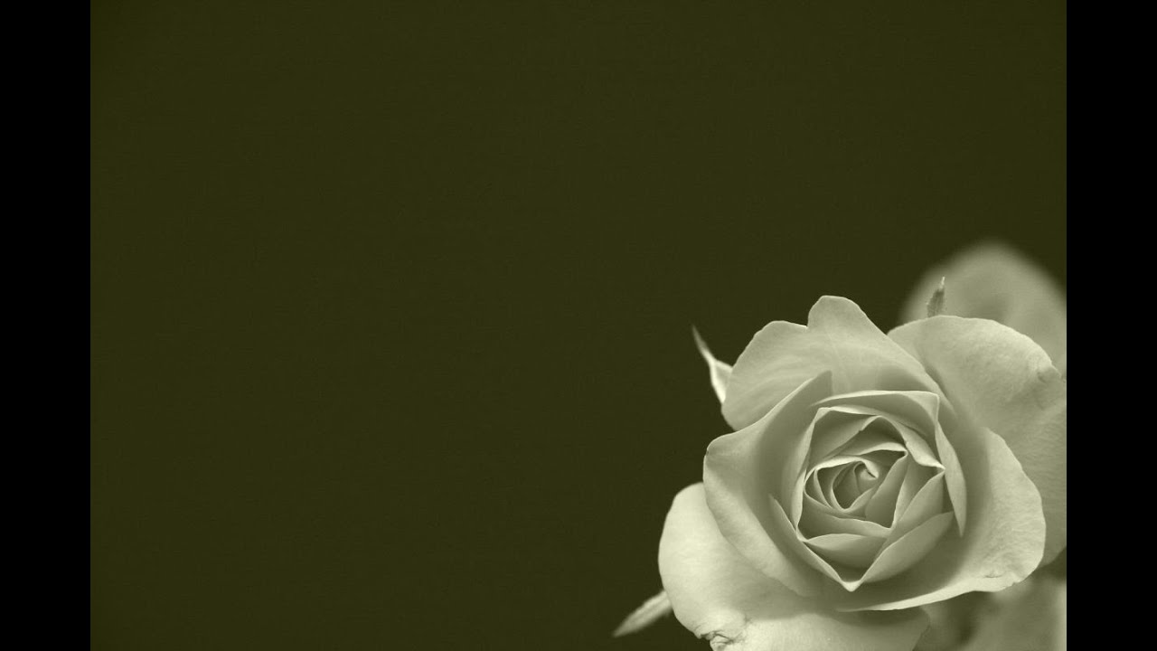 Imene: che cos'è, e che cosa rappresenta nelle culture tradizionali ...