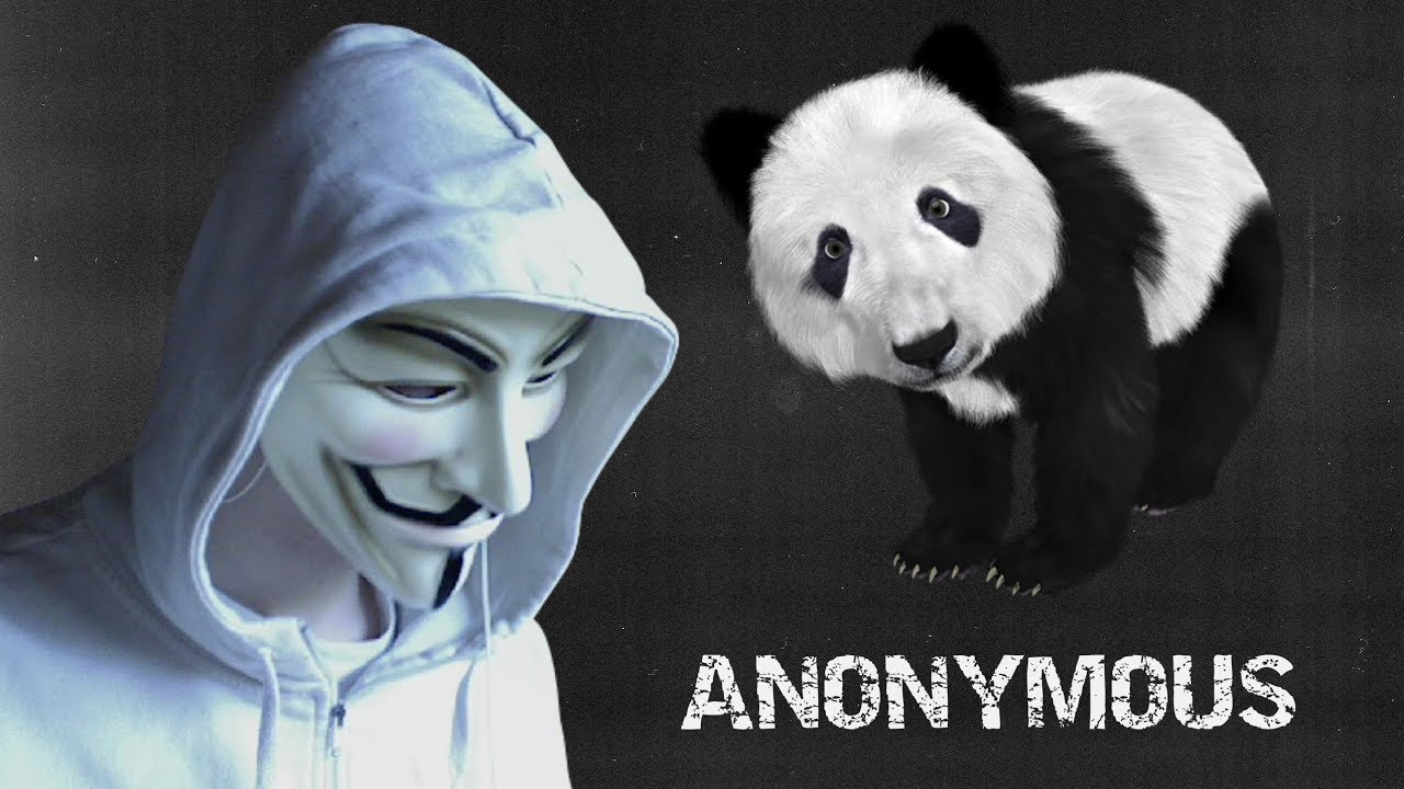 ANONYMOUS - MALTRAITANCE DE PANDAS, ÇA SUFFIT ! - YouTube