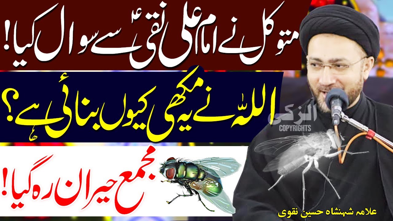Imam Ali Naqi Se Sawal: Allah Ne Makhi Kyun Banai..? | Allama ...