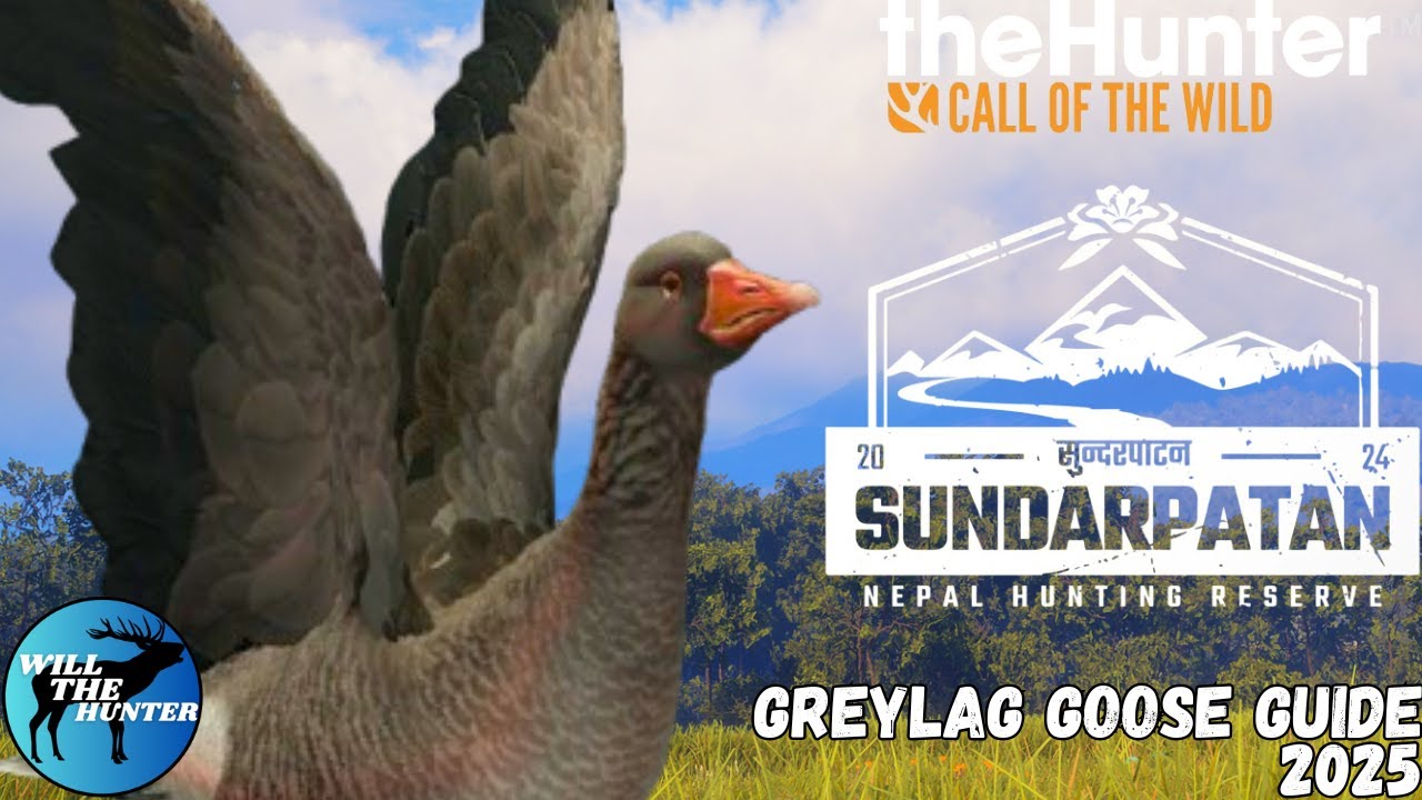 Sundarpatan Greylag Goose Guide, Where To Potentially Find Zones + More ...