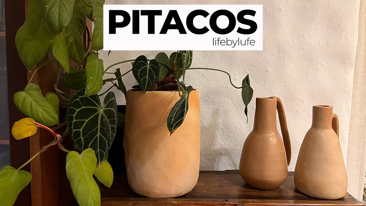 PITACOS DE DOMINGÃO - YouTube