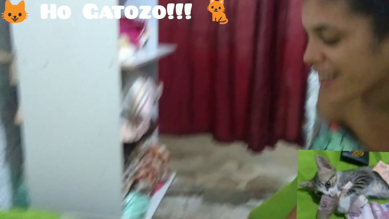 Ho Gatozo parte 2 - YouTube