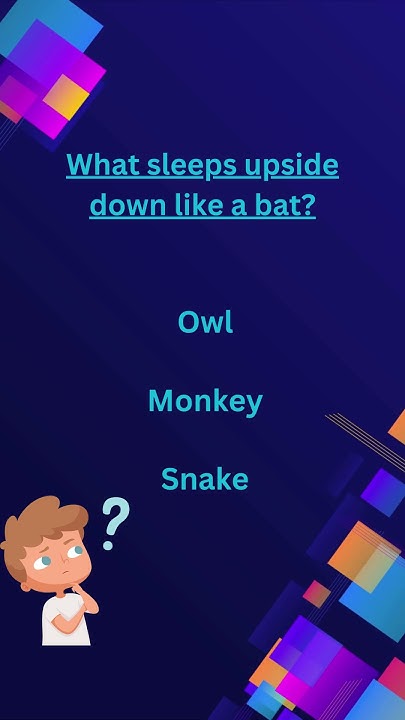 Kids Quiz 4 | Brain Teasers & Challenges! - YouTube