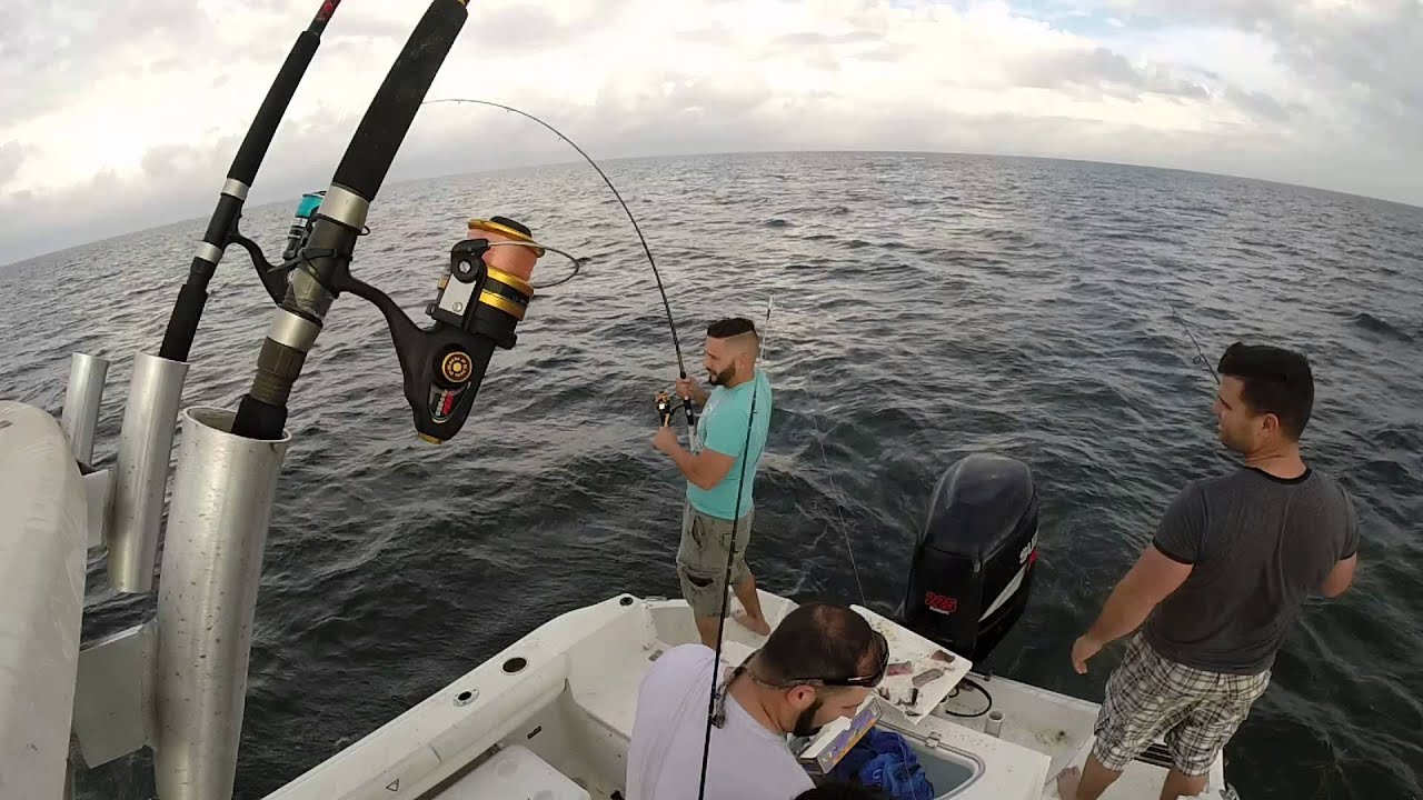 Gulf of mexico fishing big fish - YouTube