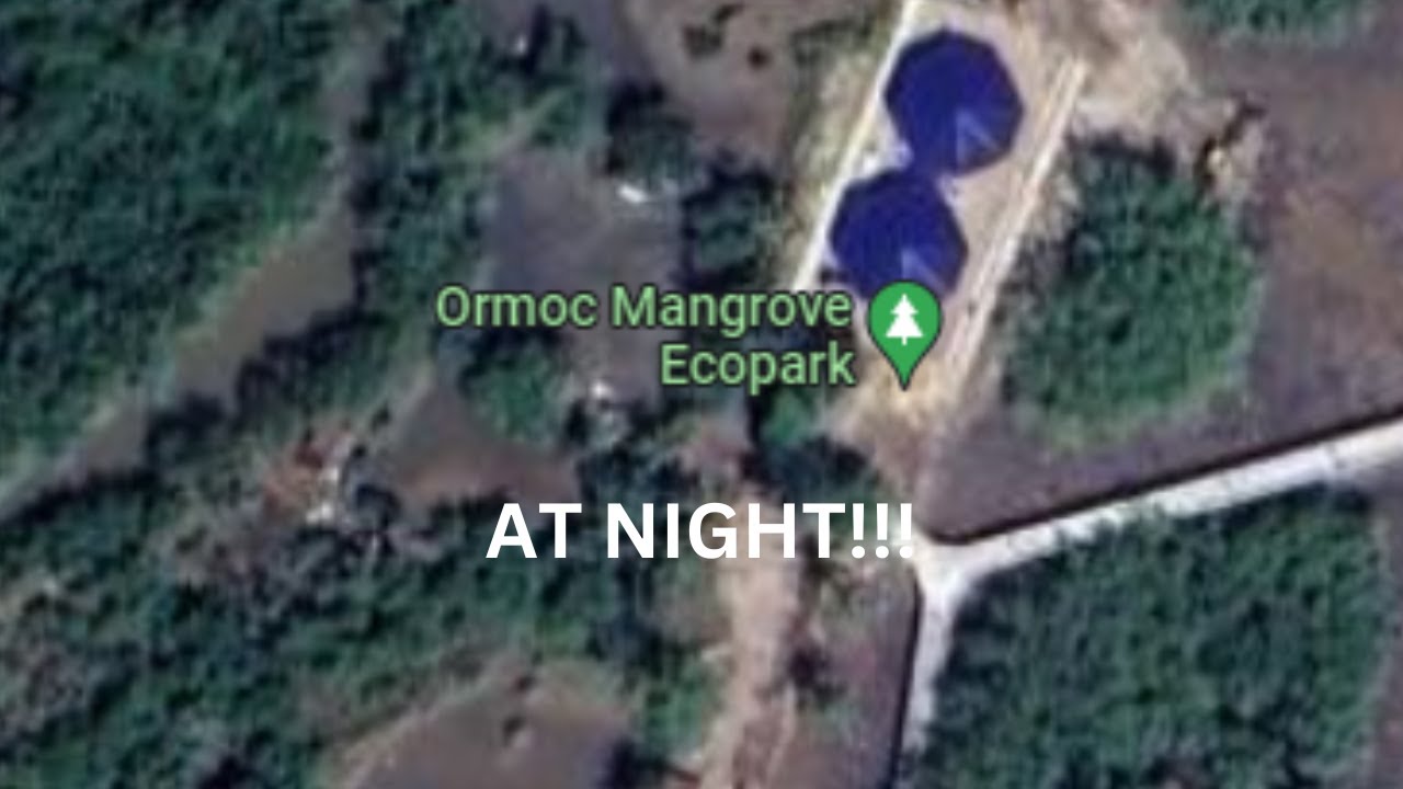 Mangrove Eco Park Brgy. Naungan, Ormoc City At Night Vlog #011 - YouTube