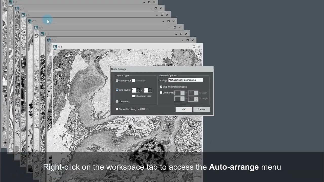 Auto Arrange in DigitalMicrograph - YouTube