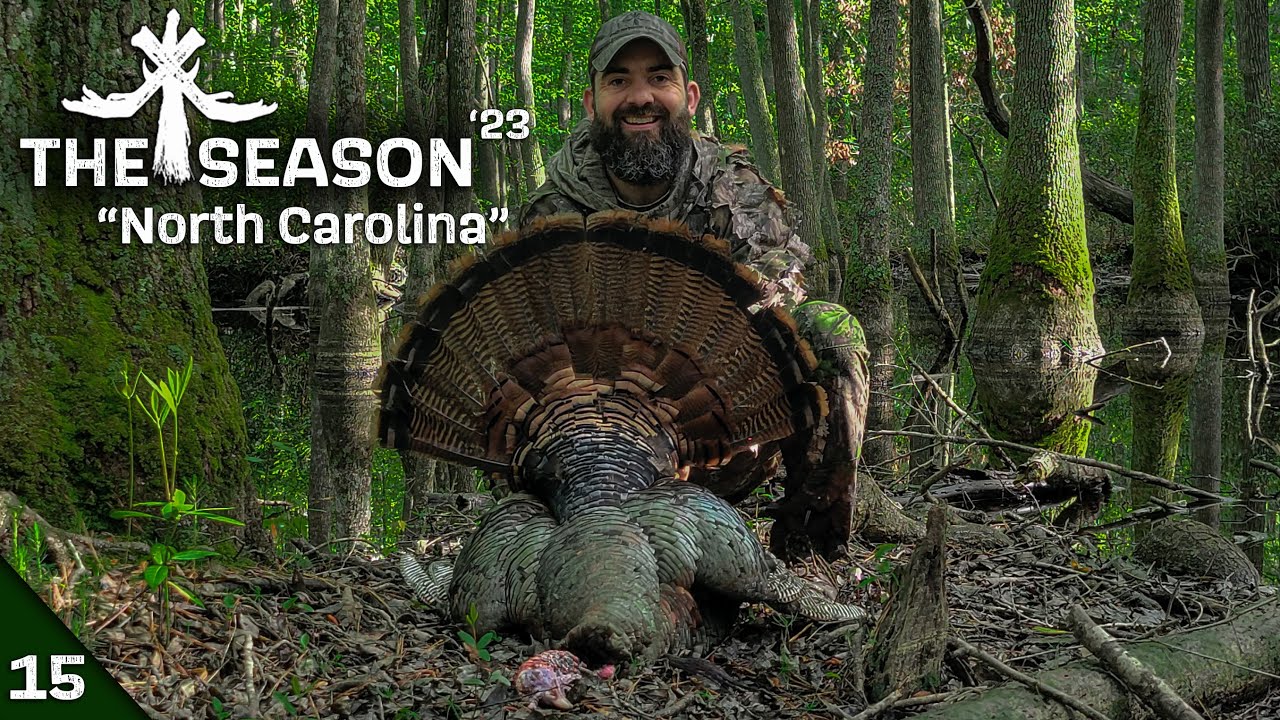 NORTH CAROLINA SWAMP BOTTOM GOBBLER TAKEN DOWN TO THE WIRE - YouTube