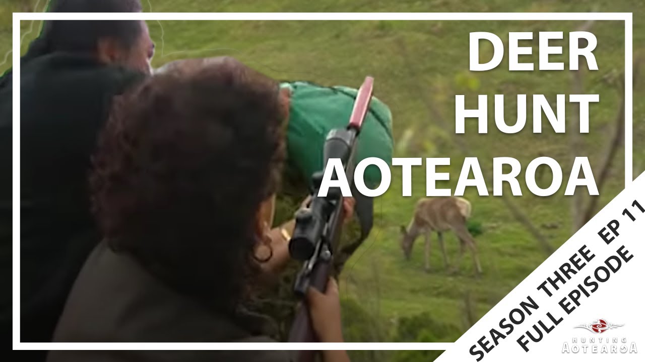 Hunting Aotearoa Series 3 Episode 11 - Hunting Deer - YouTube