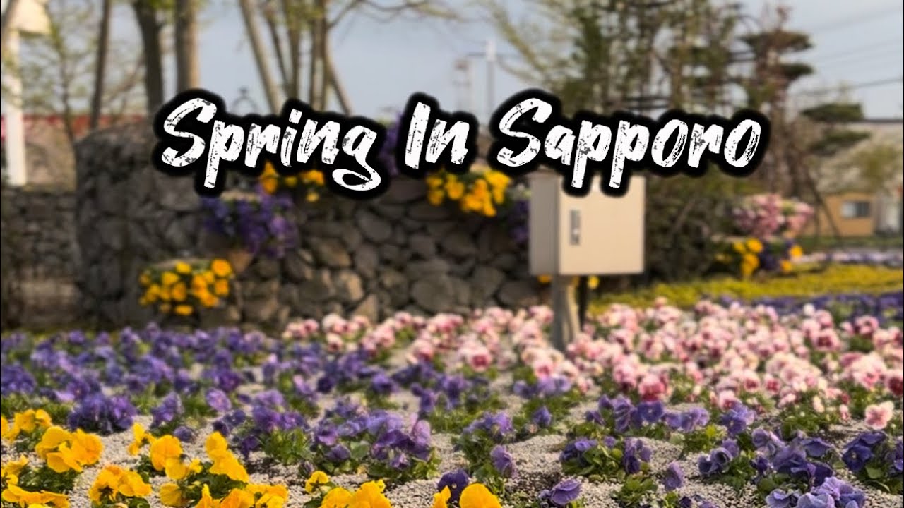Spring In Sapporo - Best Park In Sapporo - YouTube
