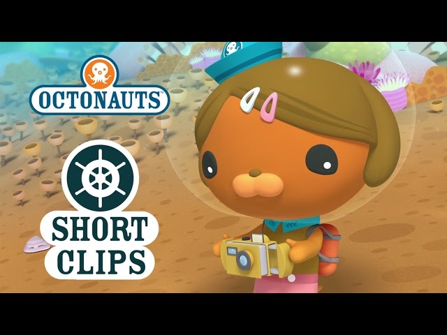 Seomra Dashi Octonauts Characters In The Octonauts TV Tropes