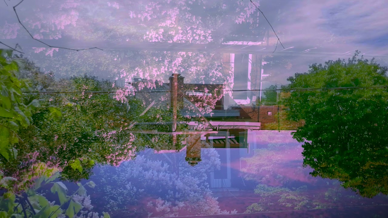 Delightful Gloom - Flowers - YouTube