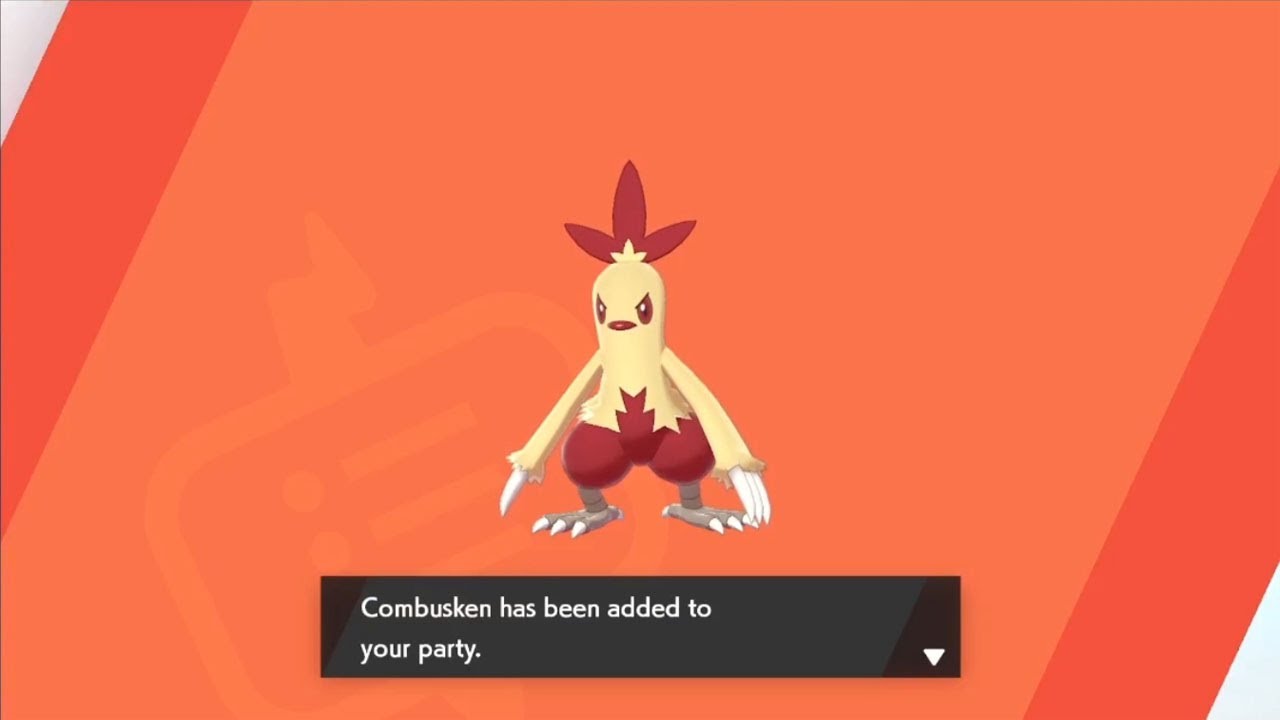 Shiny Combusken - Pokemon Shield - YouTube
