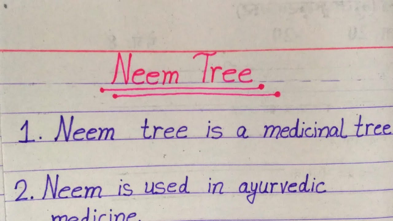 10 Lines on neem tree | 10 Lines on Neem | 10 Lines on Neem Tree in ...