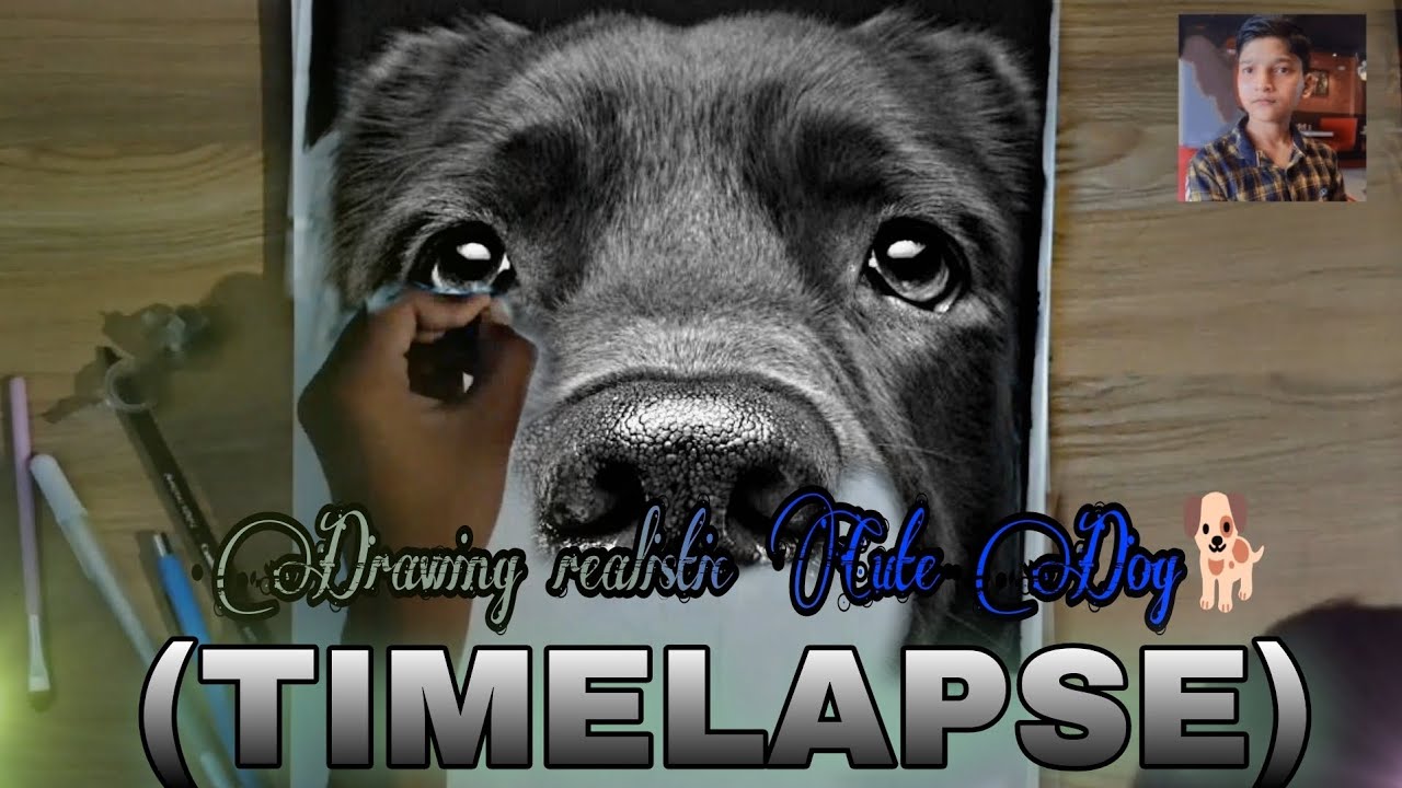 Drawing Realistic Dog in A3 big Size Paper🐶@rajnishlifevlog - YouTube