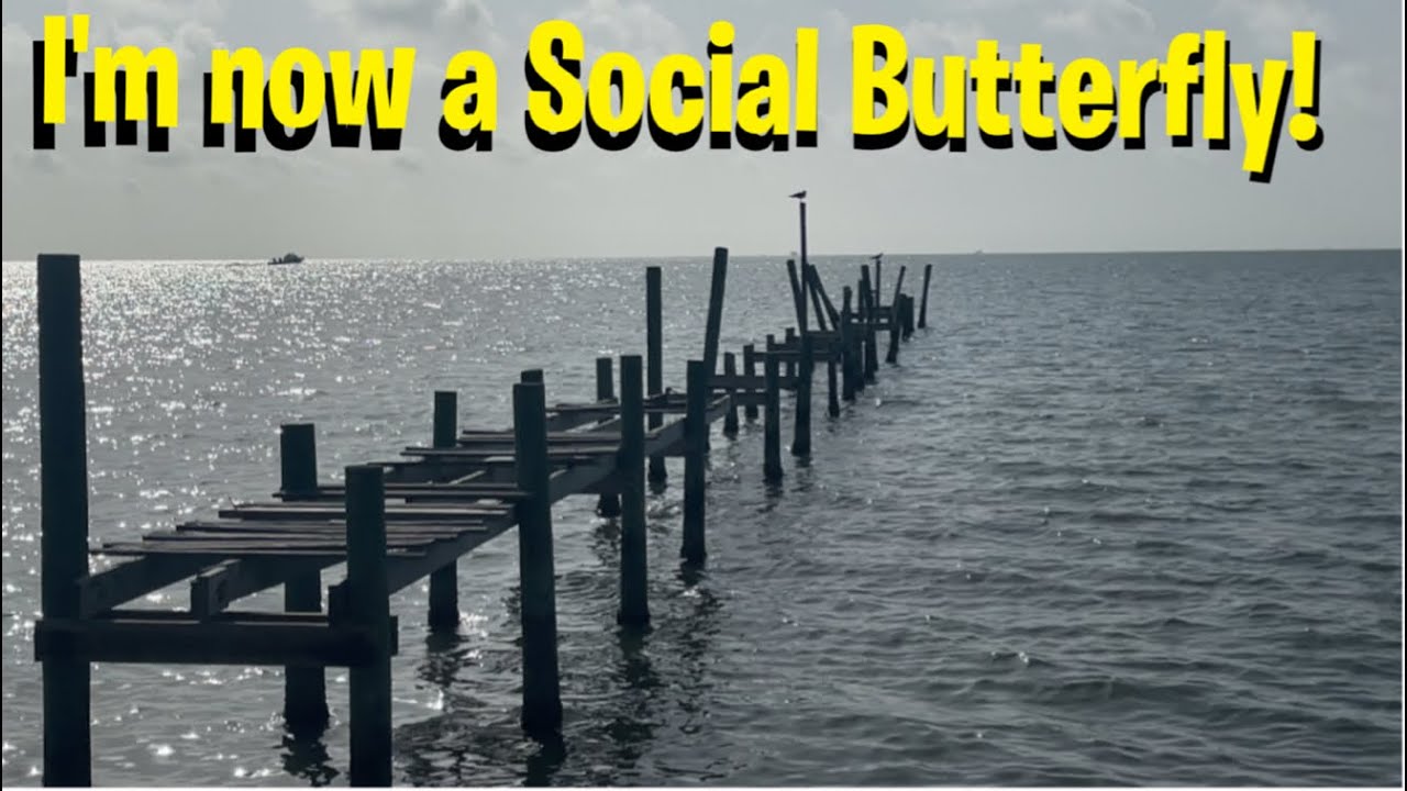 I'm now a Social Butterfly! - YouTube