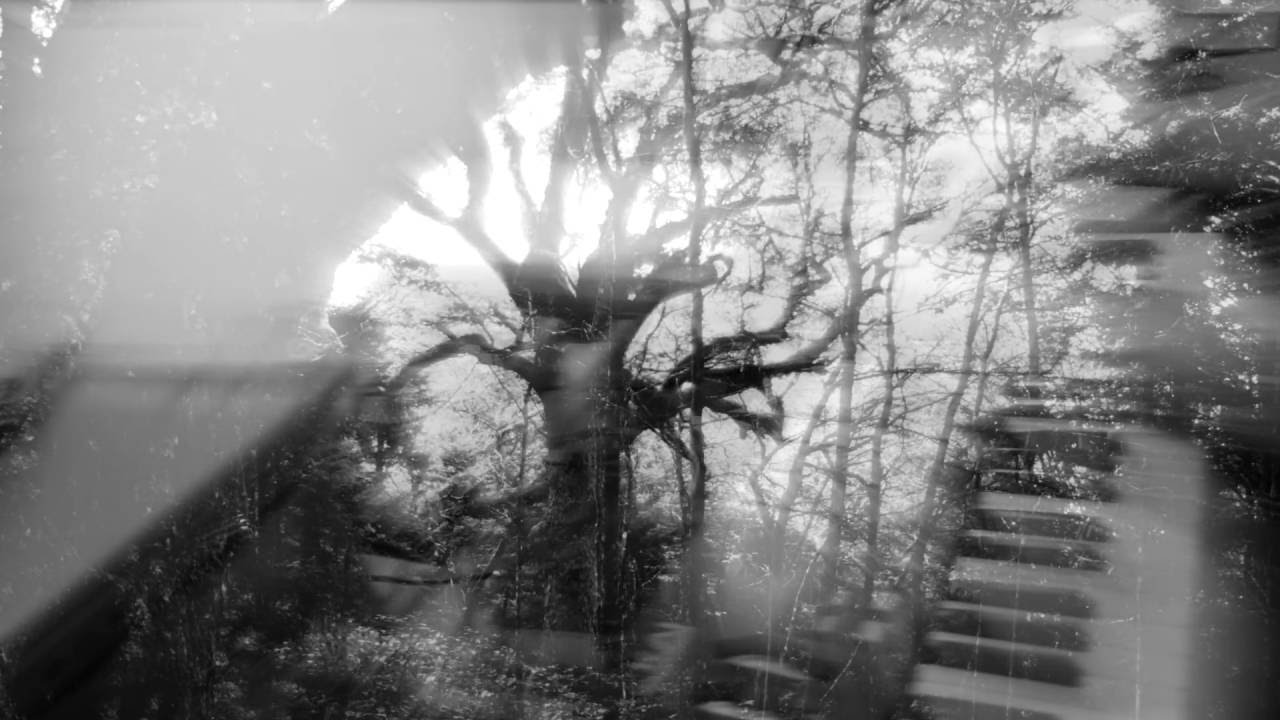XENOGRAPHY :: deconstructed - YouTube