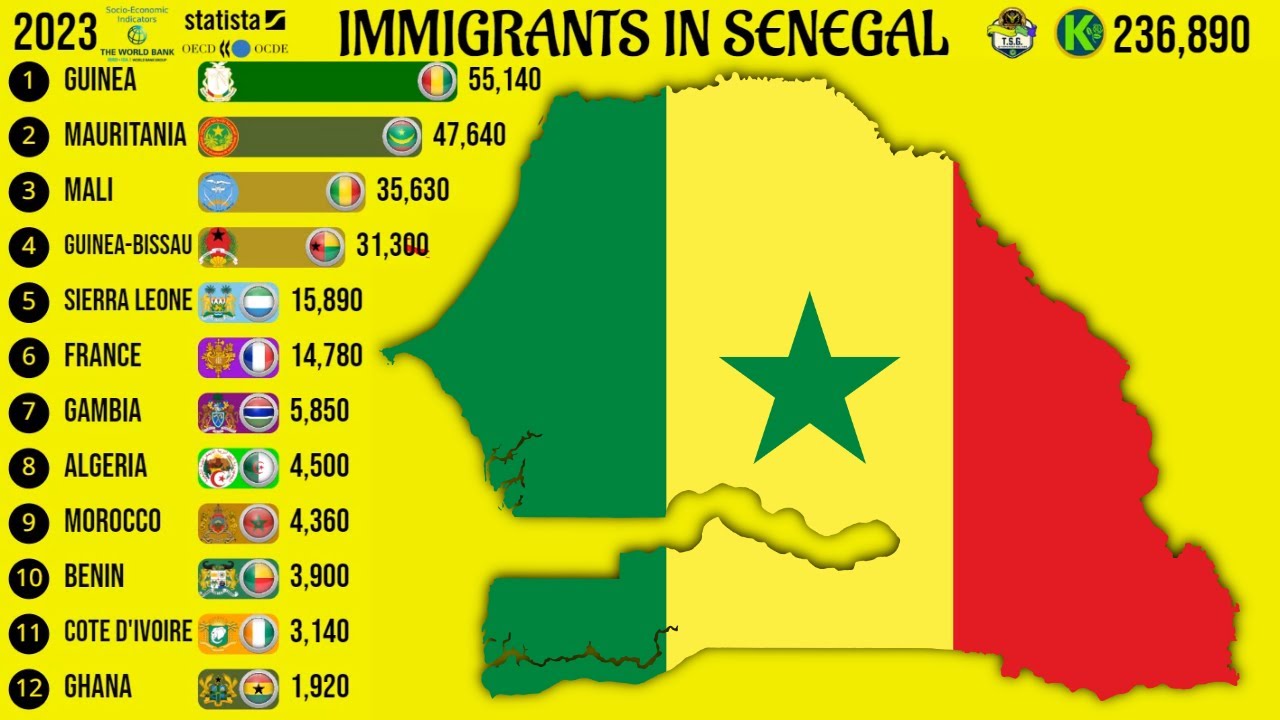 Immigrants in Senegal - YouTube