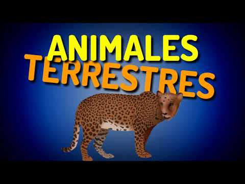 Animales Terrestres: Tipos, Características Y Ejemplos | En Pocas Palabras