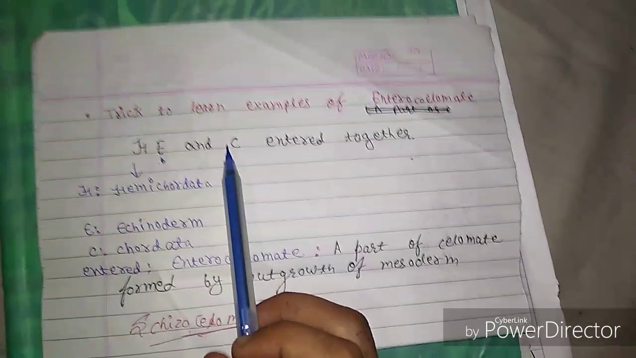 Trick to learn the examples of enterocoelomate... - YouTube